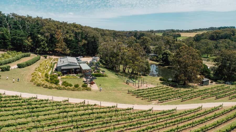 Farm Picnic for 2 adults - Practical Details and Tips for Visiting