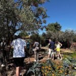 Farm to Table Cooking Experience in San Miguel - An In-Depth Look at the Farm to Table Experience