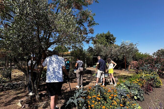 Farm to Table Cooking Experience in San Miguel - An In-Depth Look at the Farm to Table Experience