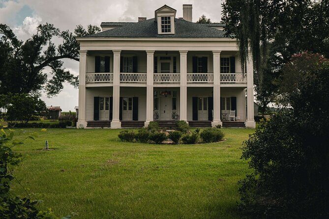 Felicity Plantation Tour - What to Expect from the Experience