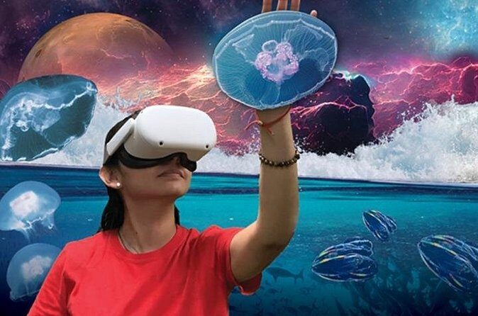 Field Museum Basic Admission Ticket Plus VR Experience - Who Should Consider This Tour?