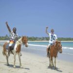 Fiji: Beach Horseback Riding Tour with Lunch and Transfer - What to Expect During Your Day in Fiji