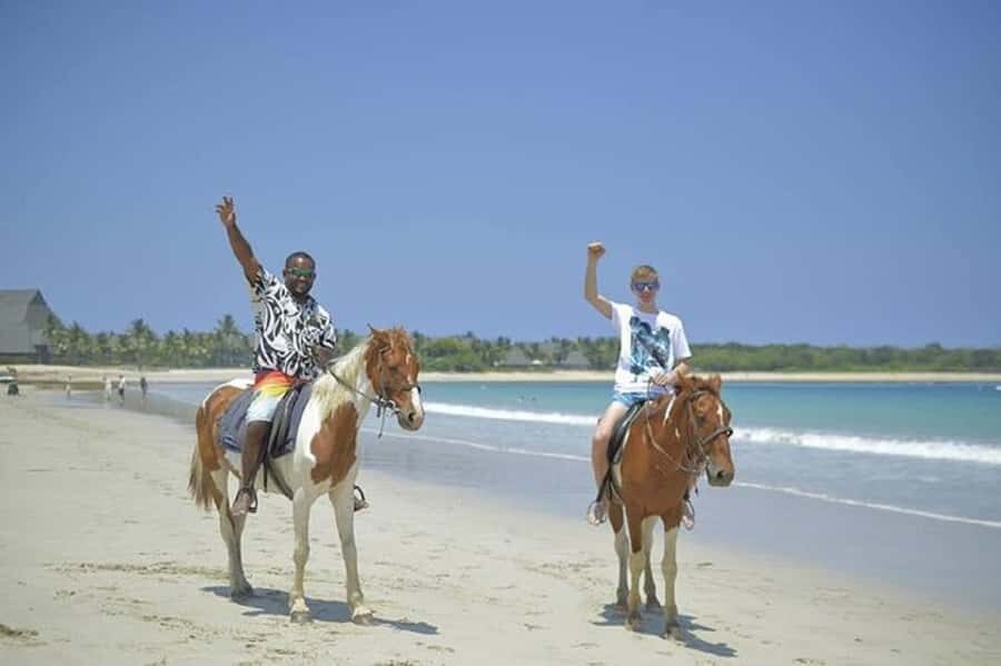 Fiji: Beach Horseback Riding Tour with Lunch and Transfer - What to Expect During Your Day in Fiji