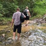 Fiji: Biasevu Village and Waterfall experience with Lunch - The Cultural and Natural Highlights