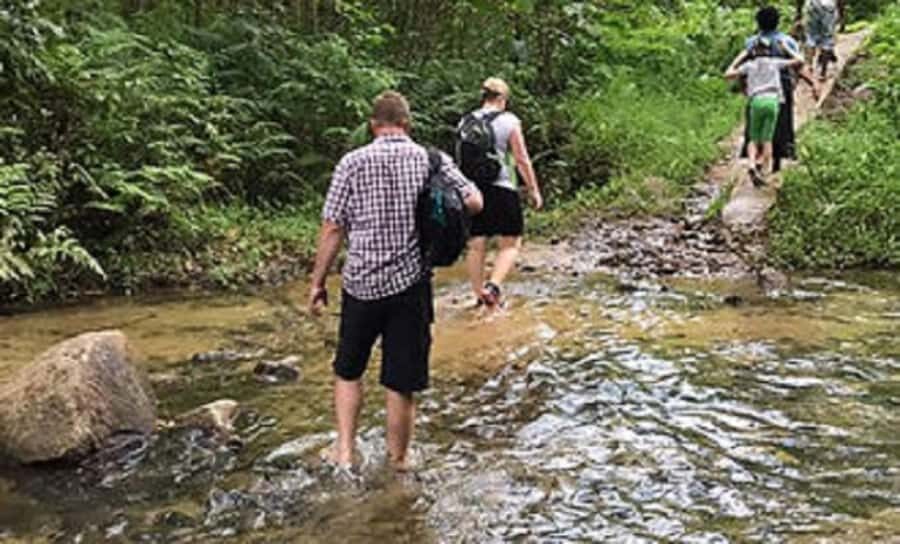 Fiji: Biasevu Village and Waterfall experience with Lunch - The Cultural and Natural Highlights