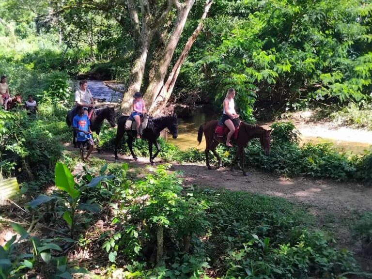 Fiji Biausevu waterfall & Village Tour - Worth the Cost? Analyzing the Value