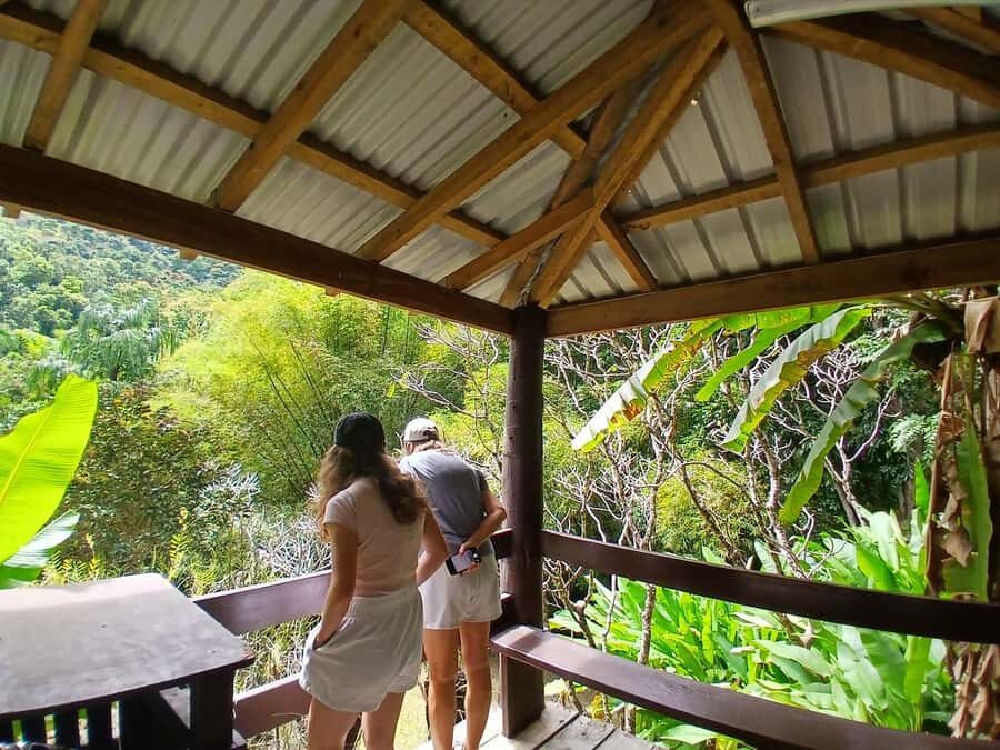 FIJI: Garden of the Sleeping Giant Tour - Who Should Book This Tour?