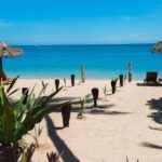 Fiji: Half-Day Island Activities Tour with Jungle Cruise - A Deep Dive into the Experience