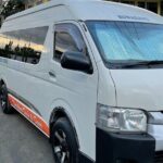 Fiji Marriot Resort to Nadi Airport Hotels & Denarau Resorts - Private Vehicle - Real-Life Insights from Travelers