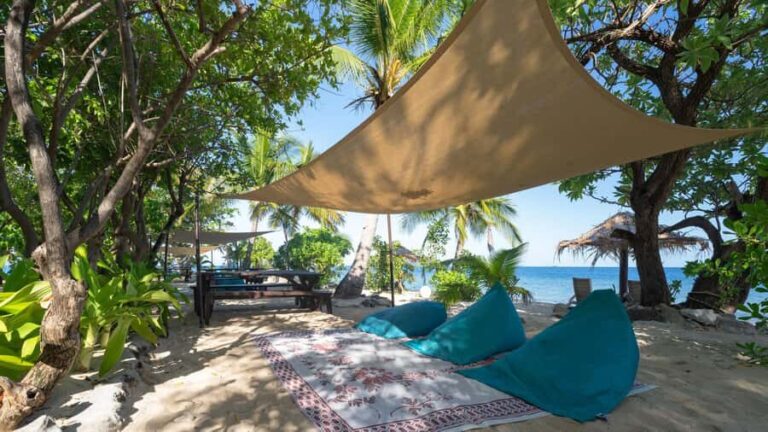 Fiji: South Sea Island Full Day Trip with Lunch & Drinks - The Itinerary: What Makes This Day Trip Special