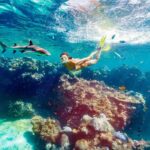 Fiji: Ultimate Encounters Snorkel with Sharks and Lunch - The Experience: What We Think