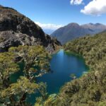 Fiordland National Park Scenic Flight - The Sum Up: Who Will Love This Experience?