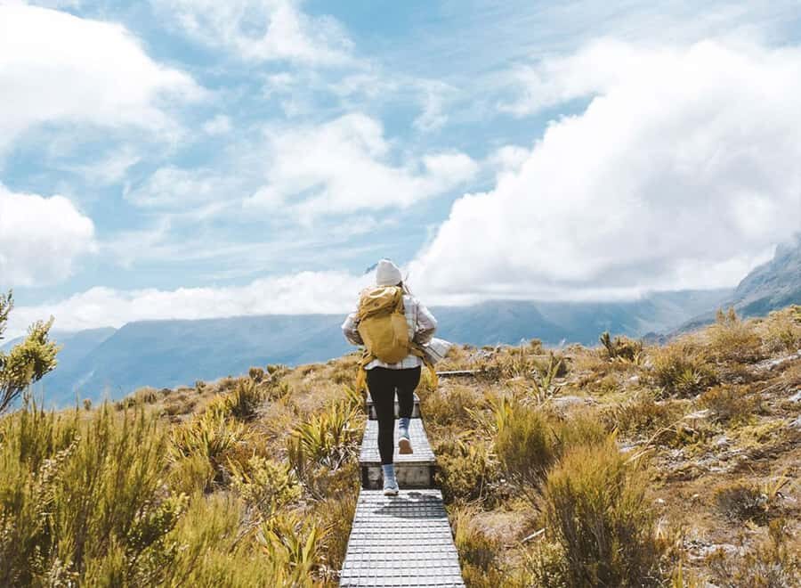 Fiordland: Routeburn Track and Key Summit Guided Day Walk - The Value of This Guided Day Walk
