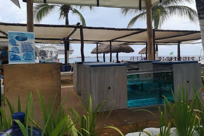 Fish Spa, Beach Break with Lounge Chairs, Umbrellas & Beach Area - The Itinerary Breakdown