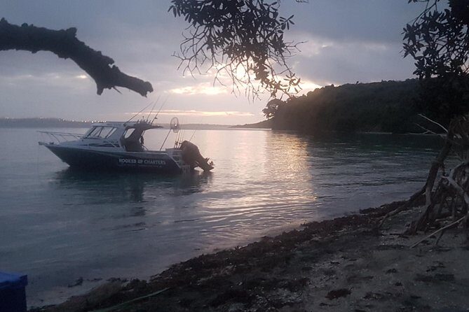 Fishing and Sightseeing Boat Charter - Who Is This Tour Best For?