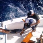 Fishing by private boat - What the Tour Includes — A Closer Look