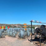 Five-star factory: Meet Orendain tequila. - Breaking Down the Itinerary