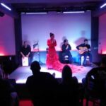 Flamenco Live Show and Dinner in Mexico City - The Itinerary in Detail