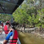 Flamingo tour Rio Lagartos, Yucatan 2 hours - Discovering Rio Lagartos: A Closer Look
