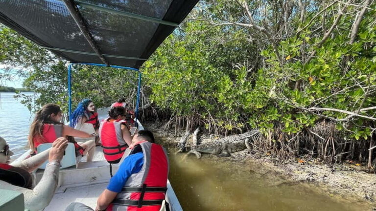 Flamingo tour Rio Lagartos, Yucatan 2 hours - Discovering Rio Lagartos: A Closer Look