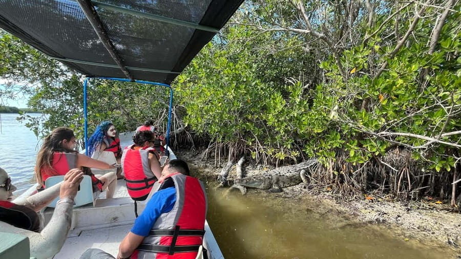 Flamingo tour Rio Lagartos, Yucatan 2 hours - Discovering Rio Lagartos: A Closer Look