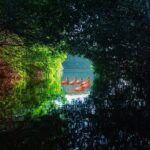 Flamingo Watching Private Tour in Celestun Biosphere Reserve - Why This Tour Is Worth Considering