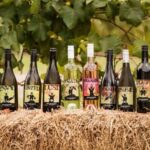 FLAVORS of the Hunter: Half Day Hunter Valley Tour - Who Should Consider This Tour?