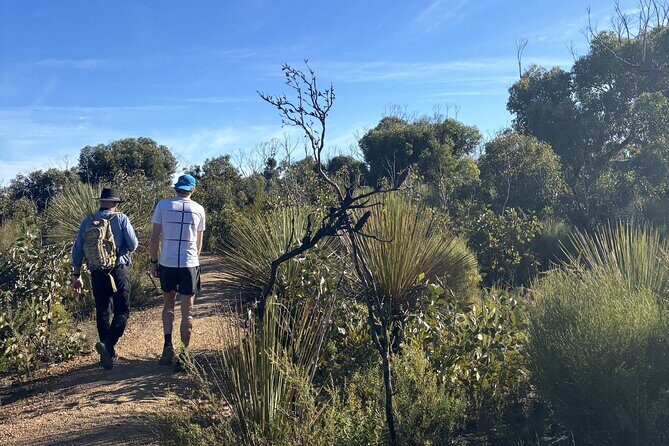 Flinders Chase Private Luxury Tour - The Bottom Line: Is It Worth It?