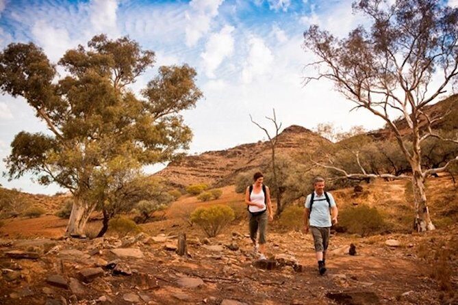 Flinders Ranges 3-Day Small Group 4WD Eco Tour from Adelaide - The Value and Experience: Is It Worth the Price?