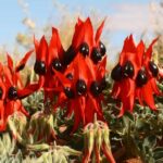 Flinders Ranges & Outback: 3-Day 4WD Tour from Adelaide - Transportation, Group Size, and Overall Value