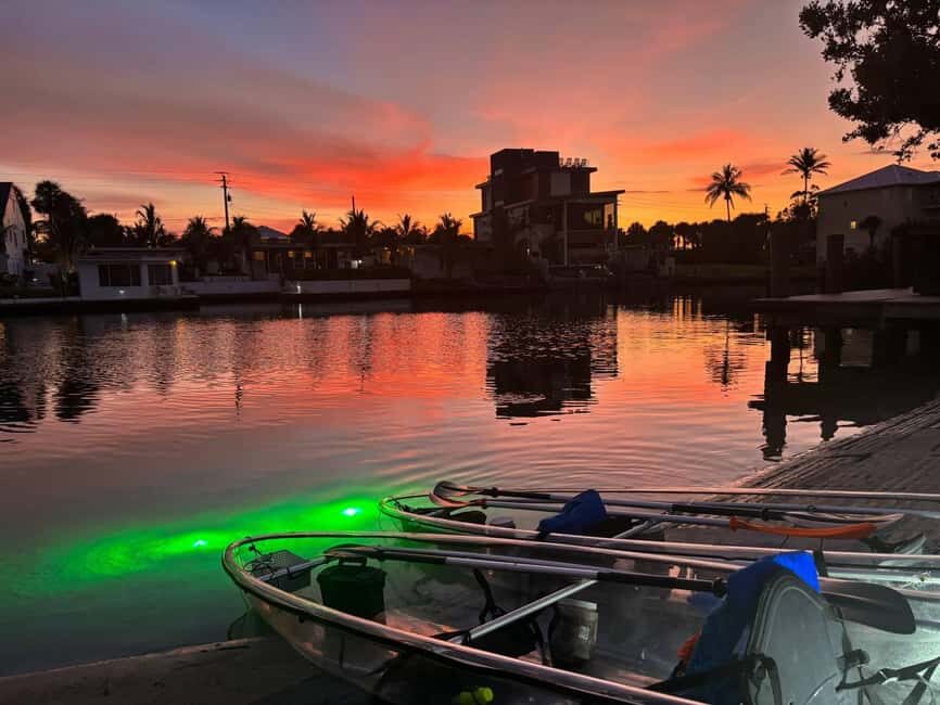 Florida: Sharkey's Guided Fish Feeding LED Night Tour - The Practical Details
