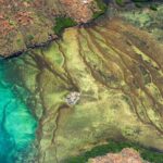 Fly The Falls Tour - Authentic Insights from Reviewers