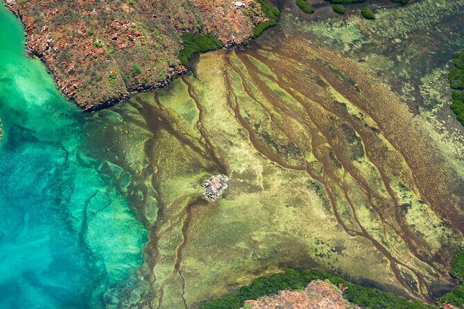 Fly The Falls Tour - Authentic Insights from Reviewers