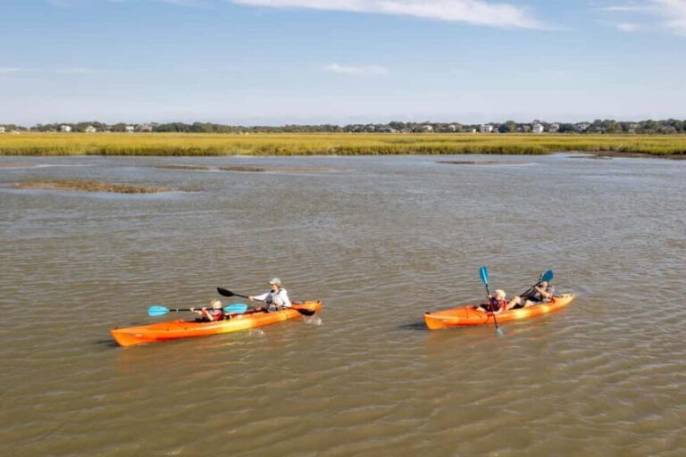 Folly Beach: Kayak Rental on the Folly River - Why This Tour Stands Out