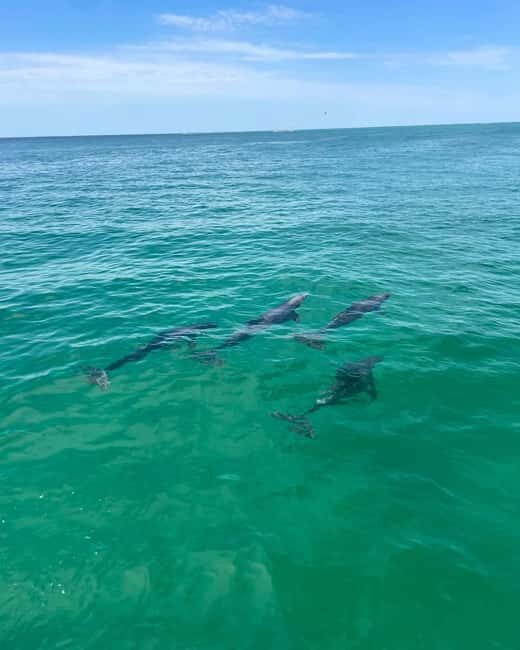 Fort Walton Beach: Emerald Coast 2-hour Dolphin Cruise - Final Thought