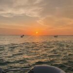 Fort Walton: Sunset Dolphin Cruise on the Emerald Coast - Final Thoughts: Is This Cruise Worth It?
