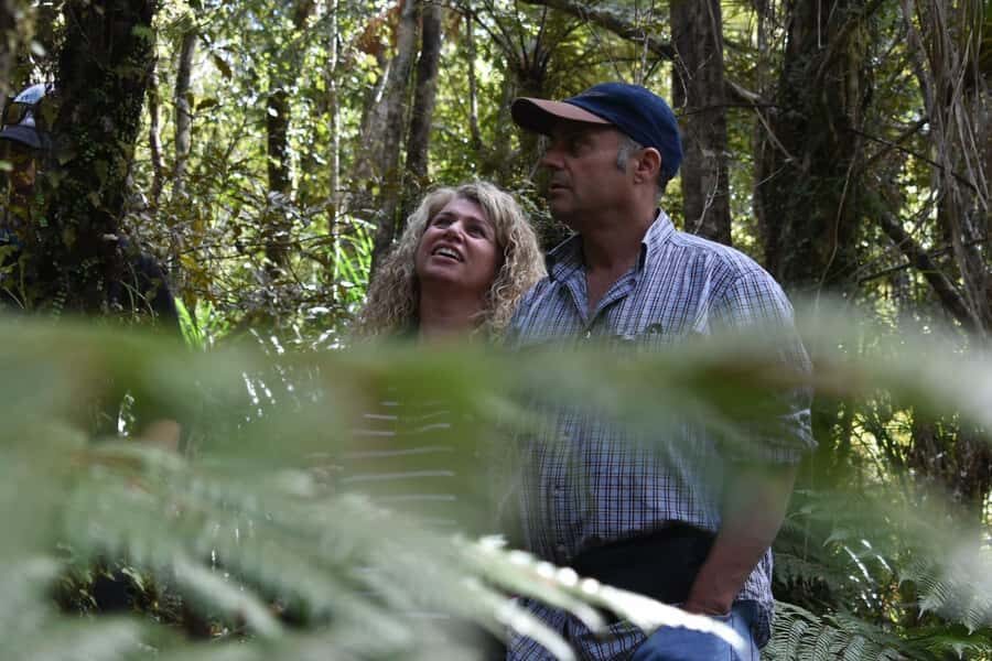 Franz Josef Glacier: 2.5-Hour Lake Mapourika Cruise and Walk - Why This Tour Stands Out