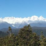 Franz Josef: Half-Day Guided Tour to Okarito - Why This Tour Is Worth Considering