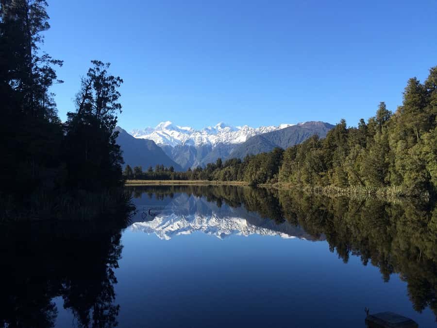 Franz Josef: Half-Day Nature Tour to Lake Matheson - Why This Tour Will Appeal to You
