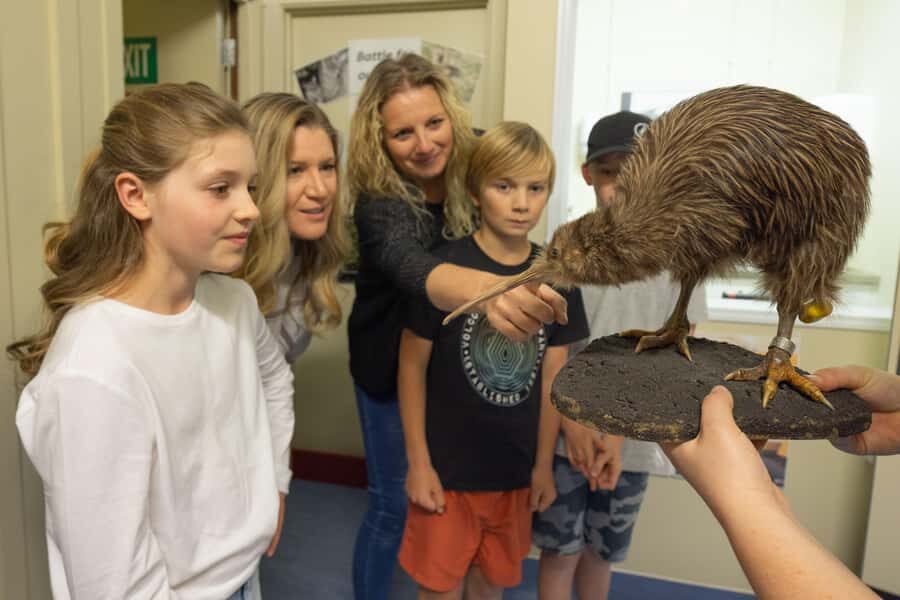 Franz Josef: Kiwi VIP Backstage Pass Tour -Booking Essential - The Itinerary Breakdown