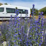 Franz Josef to Christchurch via Hokitika (1 way) - What’s Included and What’s Not