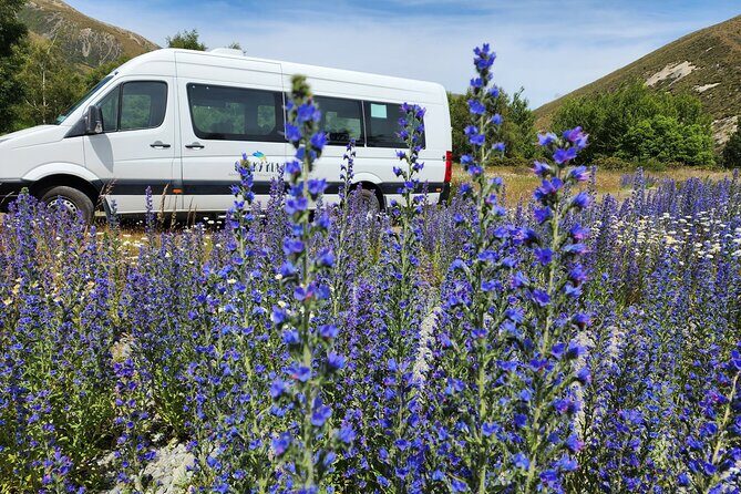 Franz Josef to Christchurch via Hokitika (1 way) - What’s Included and What’s Not