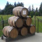 Fraser Valley Social Wine Tasting Private Tour - Stop 1: Lulu Island Winery