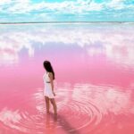 Free Yourself at Las Coloradas Natural Pink Lake! Tour from Playa Del Carmen - The Sum Up