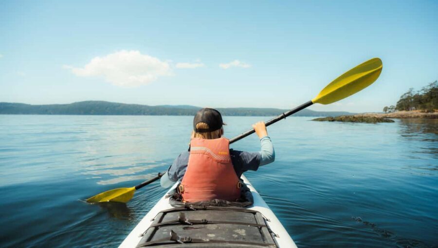Friday Harbor: Half-Day Family Kayaking and Hiking Tour - Who Will Love This Experience
