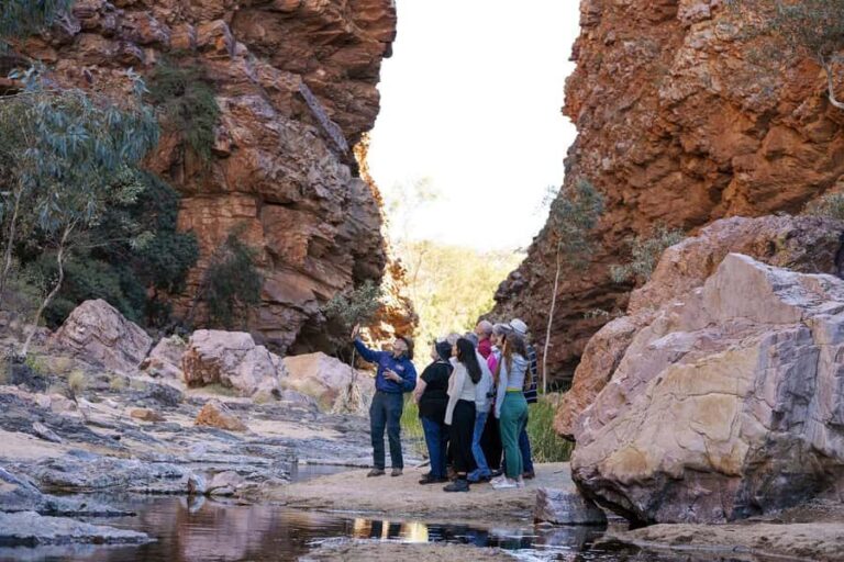 From Alice Springs: Half Day West MacDonnell Ranges Tour - What Makes This Tour Stand Out?