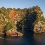 From Auckland: ALDERMAN ISLANDS (Ruamaahu) Day Trip - Transportation and Group Size