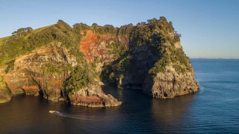 From Auckland: ALDERMAN ISLANDS (Ruamaahu) Day Trip - Transportation and Group Size