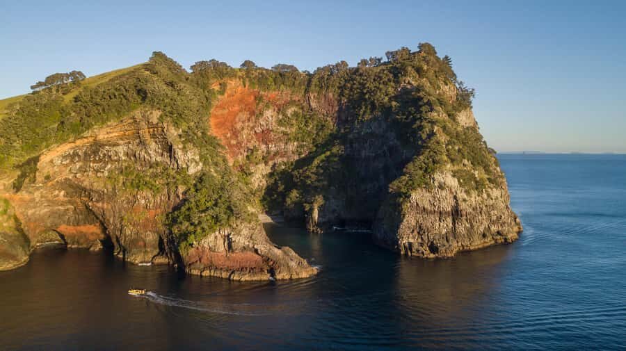 From Auckland: ALDERMAN ISLANDS (Ruamaahu) Day Trip - Transportation and Group Size