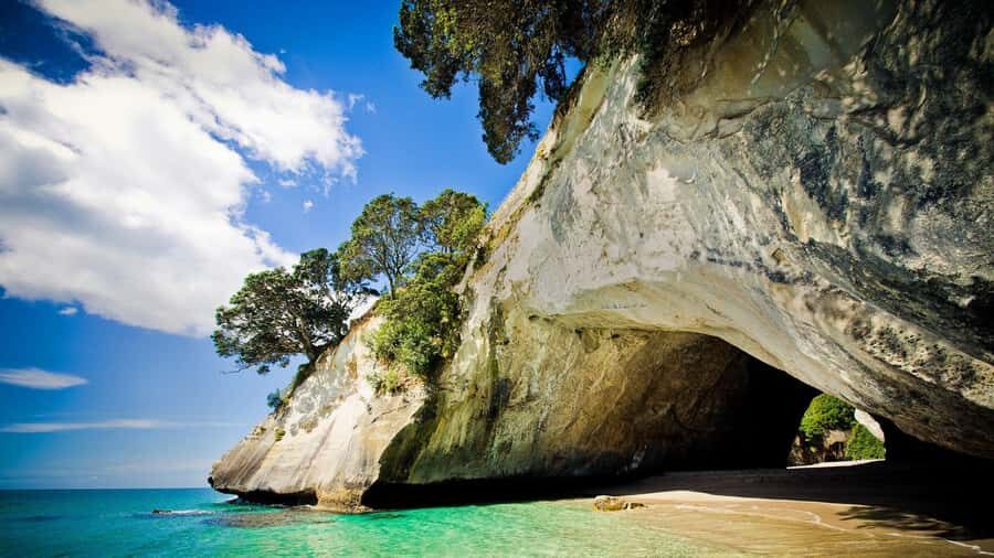From Auckland: Cathedral Cove & Hot Water Beach Tour - Practical Details: Transport, Group Size, and Pricing
